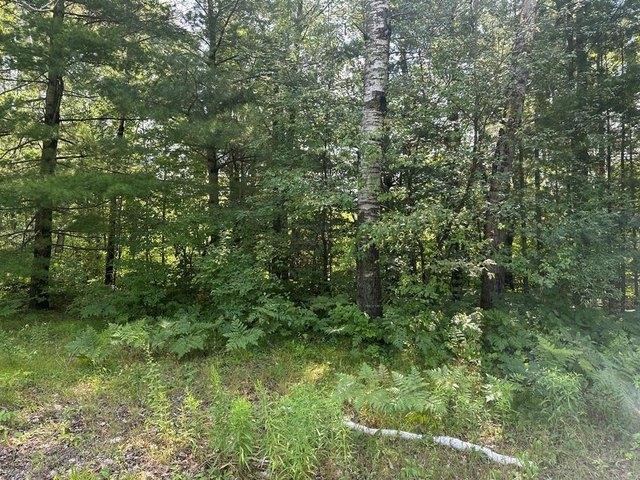 Popple Ln Lot 63, Harrison, MI 48625