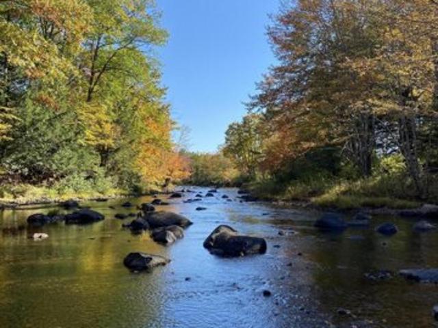 Poppy Ln, Carthage, Plot For Sale