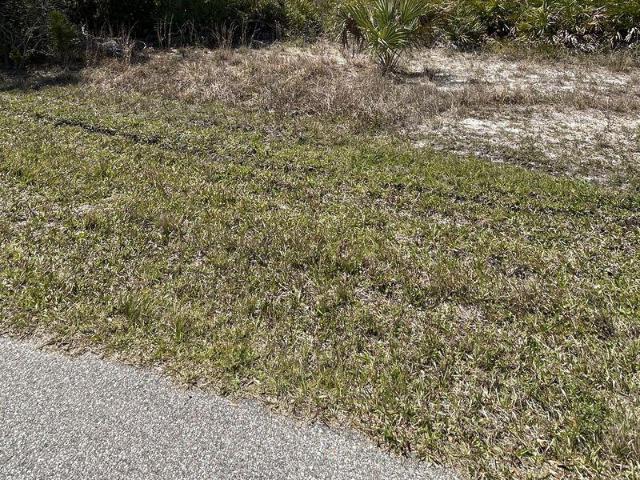 Port Charlotte FL 33954 LS101012120