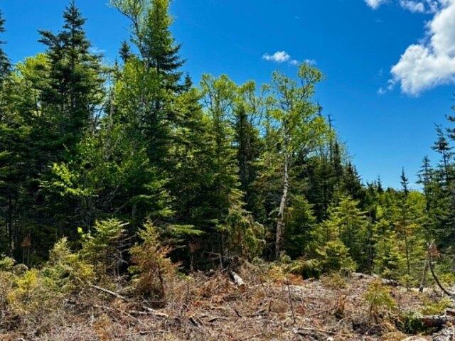 Port Rd Lot,machiasport, Plot For Sale