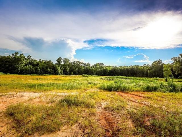 Porter Ln, Longview, TX 75645