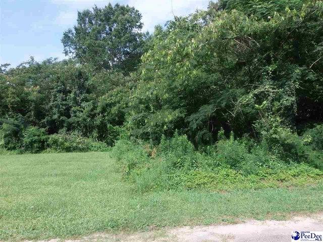 Porter St, Lamar, SC 29069