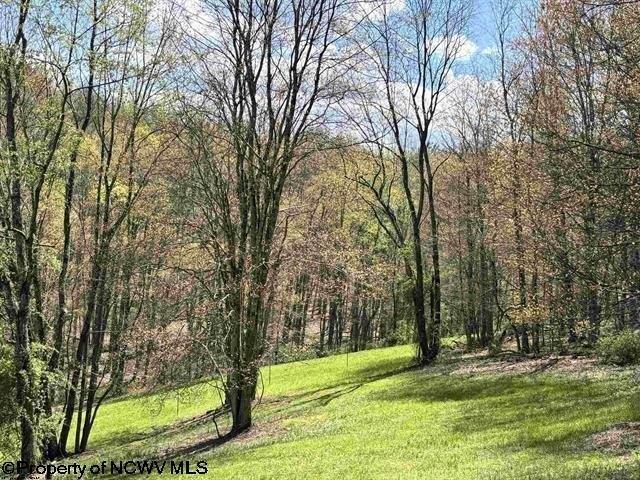 Porterfield Rd, Philippi, WV 26416