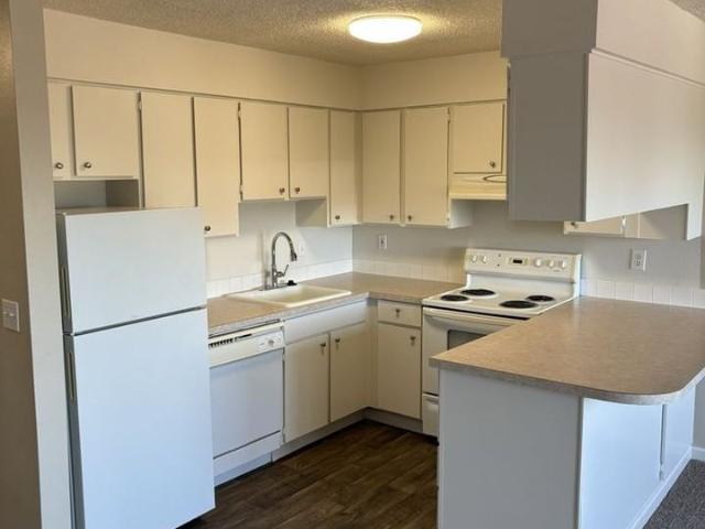 Portland Terrace 1 Bedroom Apartment for Rent at 1402 Sw Hall St, Portland, OR 97201 Southwest Hills