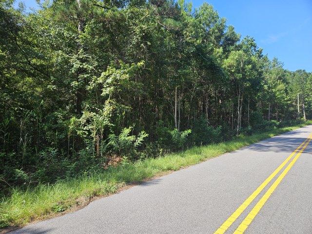 Porcher School Rd, Awendaw, SC 29429