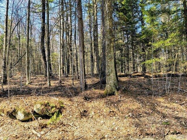 Porcupine Cts Lot /, Becket, Plot For Sale