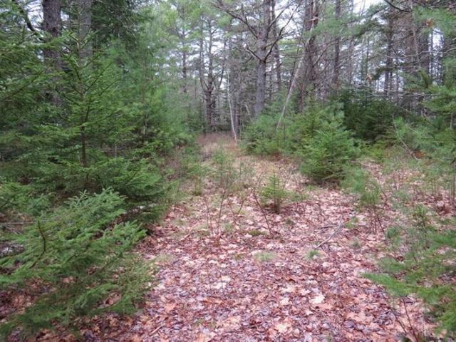 Porcupine Rd, Sullivan, Plot For Sale