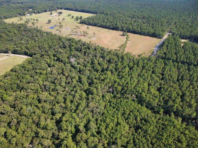 Post Oak, Kountze, TX 77625