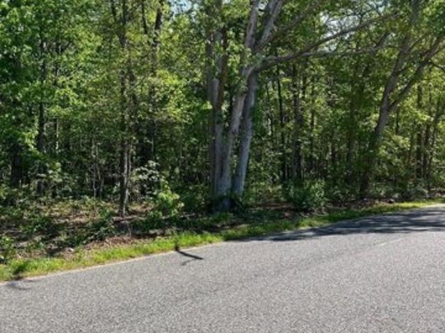 Post Rd, Buena Vista Township, Plot For Sale