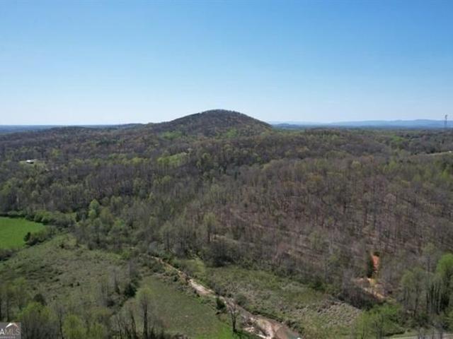 Post White Hill Rd, Murrayville, GA 30564