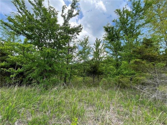 Posy Mountain Dr Lot 319, Garfield, AR 72732