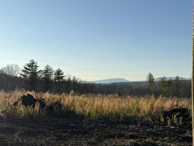 Possom Trot Rd Tract 13, Grandview, TN 37337