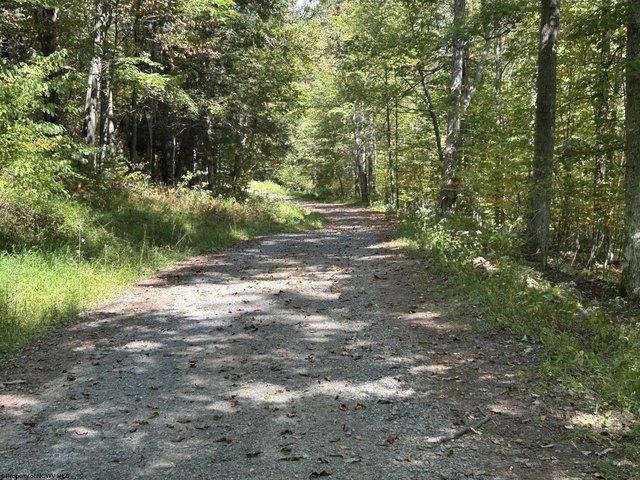 Possum Hollow Rd Lot 1, Terra Alta, WV 26764
