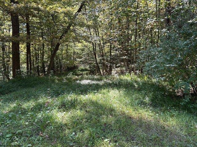Possum Hollow Rd Lot 1 4, Terra Alta, WV 26764