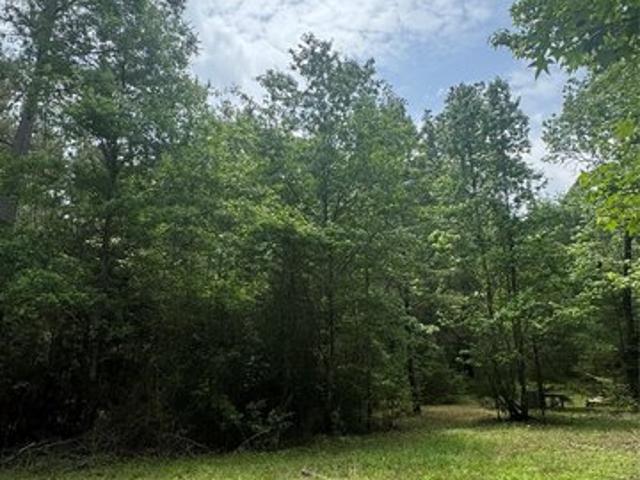 Possum Walk Ln, Huntsville, TX 77358