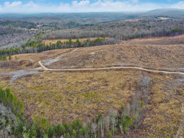 Possum Trot Rd 142.25 Acres, Grandview, TN 37337