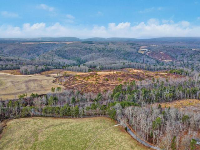 Possum Trot Rd Tract 1, Grandview, TN 37337