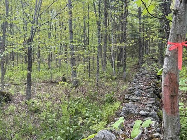 Potter Rd, Lowell, VT 05847