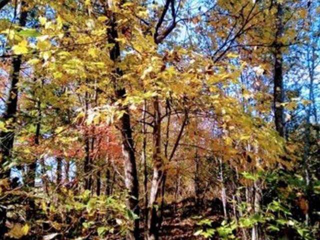 Potter Rd, Waxhaw, NC 28173
