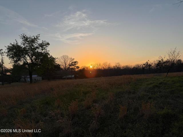 Potts Camp Road, Potts Camp, MS 38659