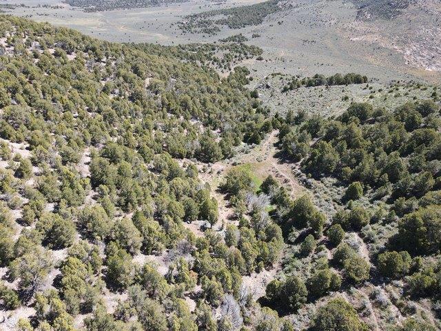 Pot Creek Rd, Dinosaur, CO 81610
