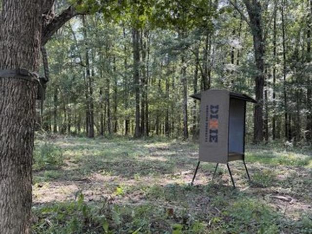 Potluck Rd, Canton, MS 39046