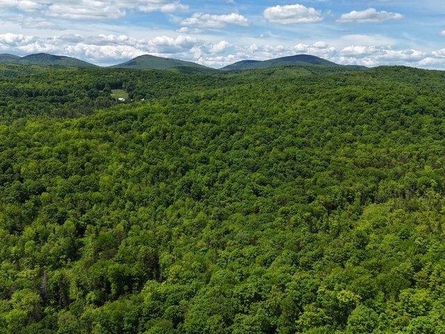 Powder Spring Rd, Topsham, VT 05076