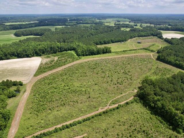 Powell Rd, Green Sea, SC 29545