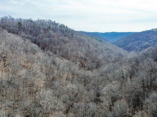 Powell Ridge Rd Lot 75, Speedwell, TN 37870