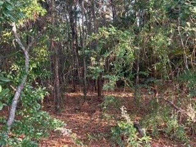 Plot For Rent In Waycross, Georgia