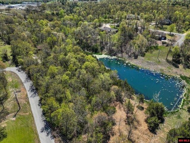 Plot For Sale In Mountain Home, Arkansas