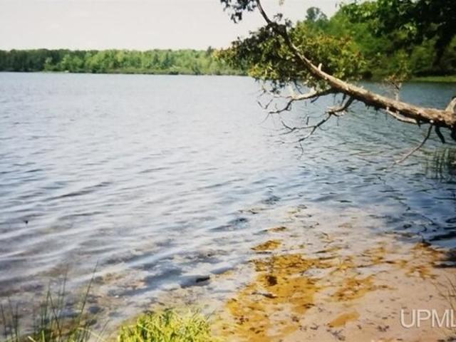 Plot For Sale In Bates, Michigan