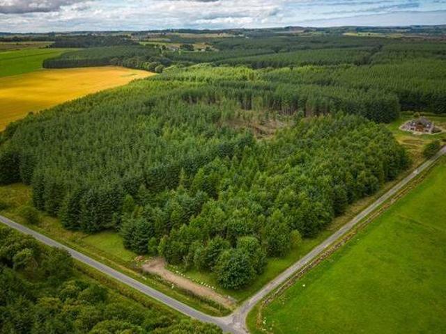 Plot for sale in South East of Borrohill Strichen AB43