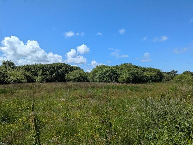 Plot for sale