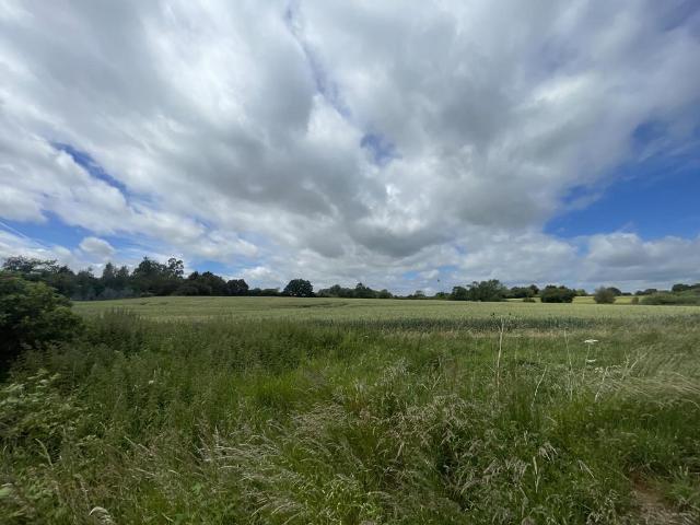 Plot for sale