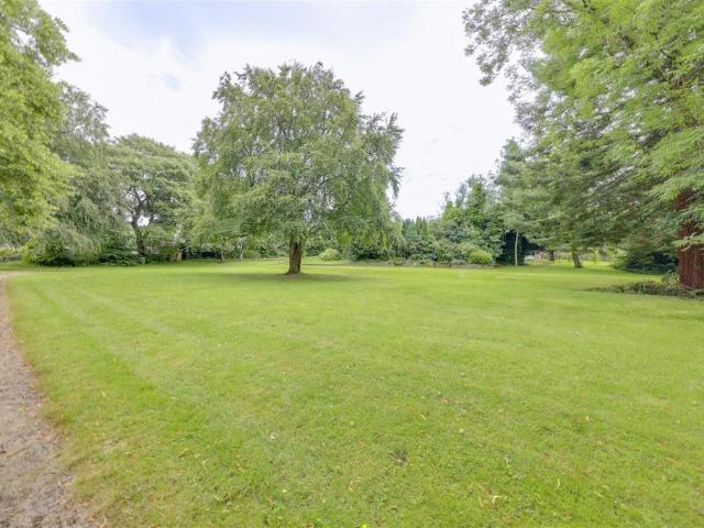 Plot for sale