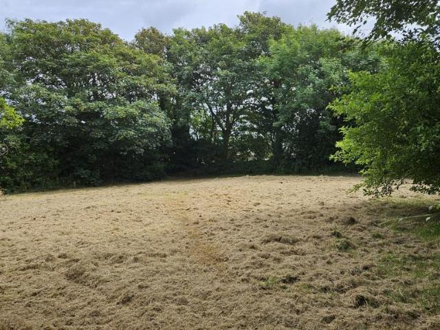 Plot for sale