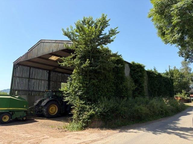 Plot for sale