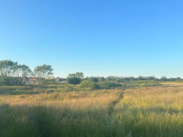 Plot for sale