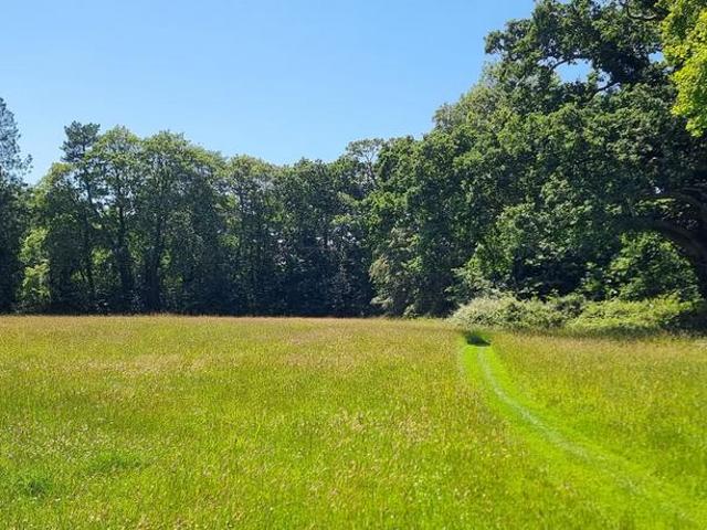 Plot for sale
