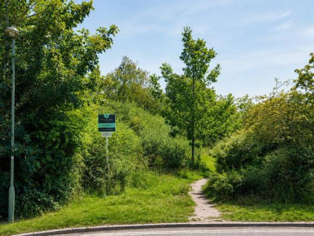 Plot for sale