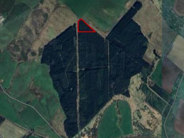 Plot 34, Cartland Muir, Lanark, ML11 7RE