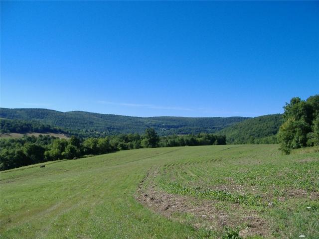 Ploss Road
