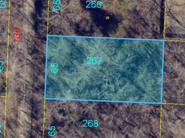 Plat b lot 267 Plat B Dr, Odessa, MO 64076 | MLS #2612