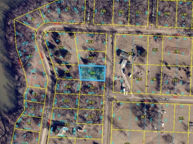 Plat D Lot 88 Raven Drive