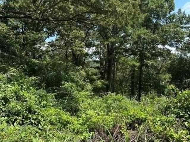 Plat 9 Lot 22, Van Buren, MO 63965