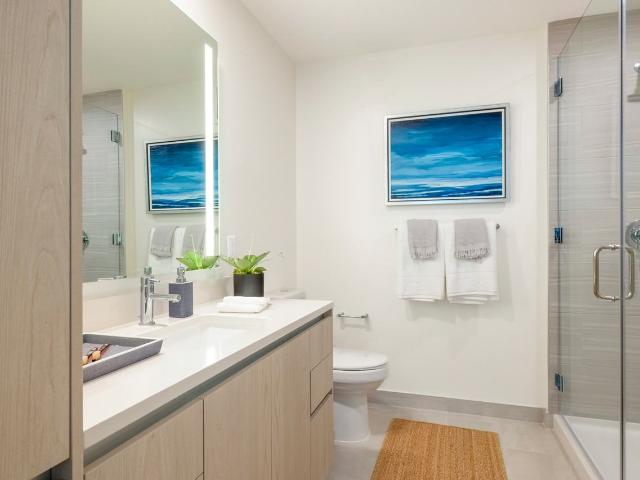 Platform 1 Bedroom Apartment for Rent at 1100 N Fayette St, Alexandria, VA 22314 Braddock Road Metro