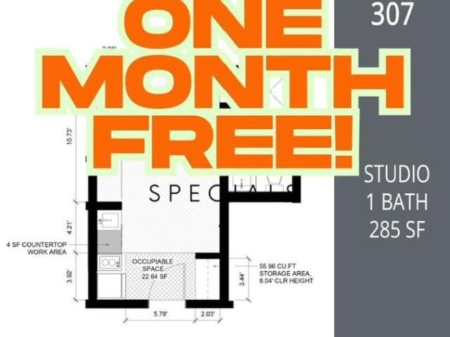 Platform 31 Studio Apartment for Rent at 4734 31st Ave S, Seattle, WA 98108 Columbia City