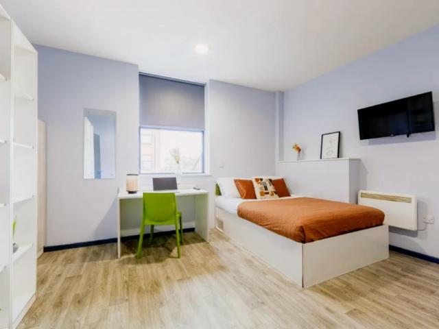 Platinum Accessible Studio