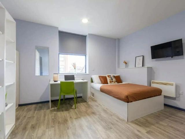 Platinum Accessible Studio